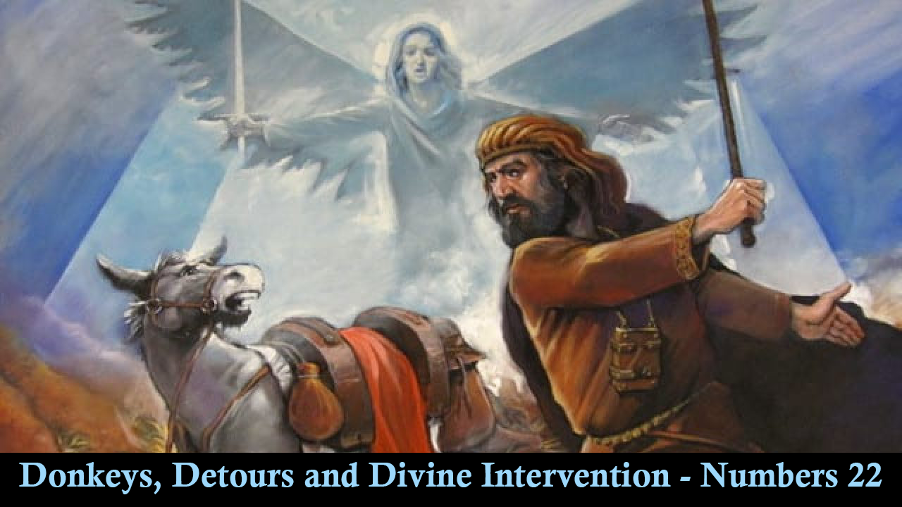 8/14/22 Donkeys, Detours, and Divine Intervention - Minda Street Church ...